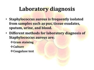 Staphylococci | PPTX
