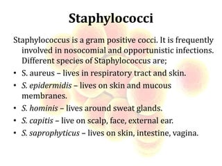 Staphylococci | PPTX