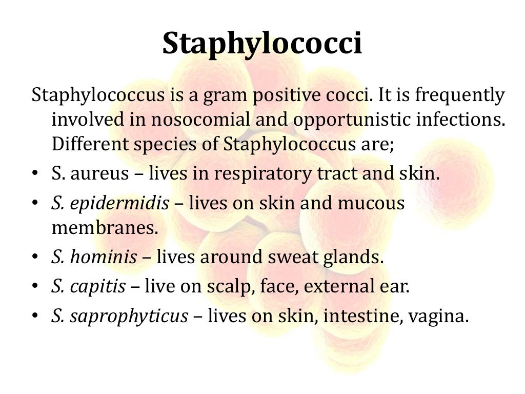 Staphylococci