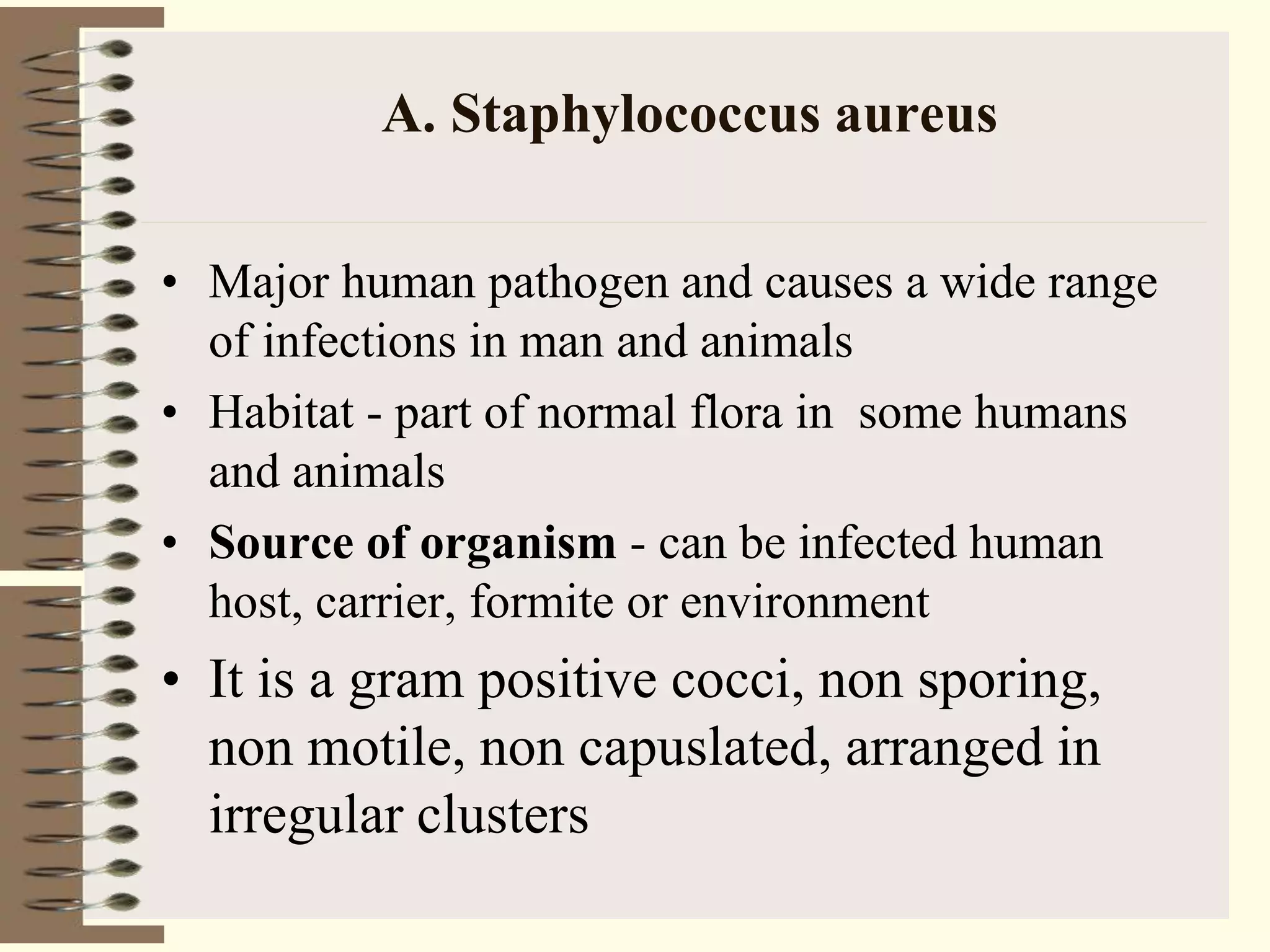 Staphylococci.pptx