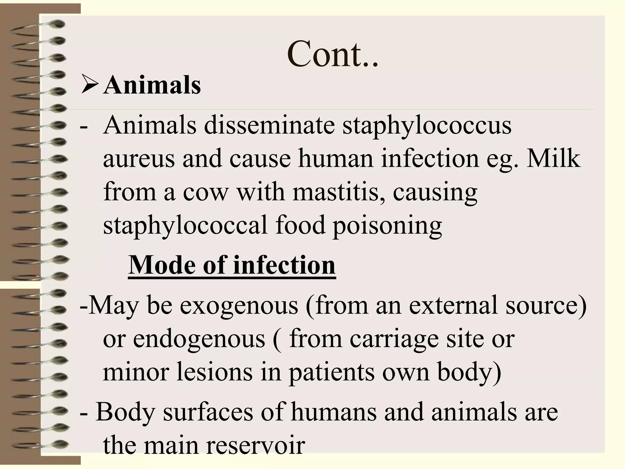 Staphylococci.pptx