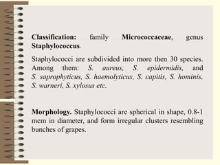 Staphylococci.pptx