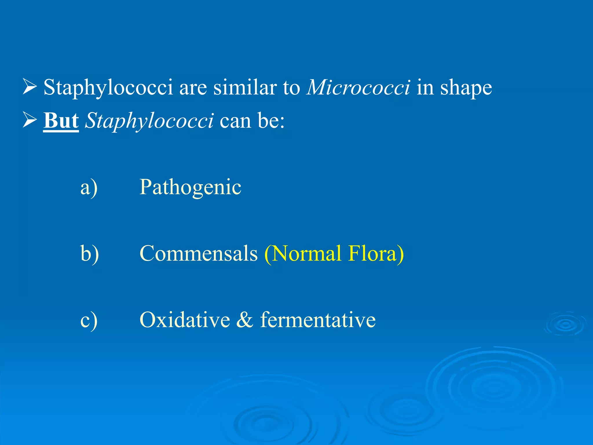 Staphylococci...ppt
