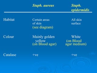 Staphylococci...ppt