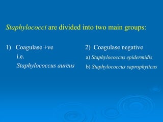 Staphylococci...ppt