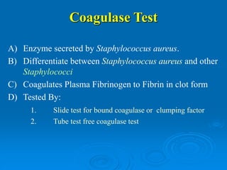 Staphylococci...ppt