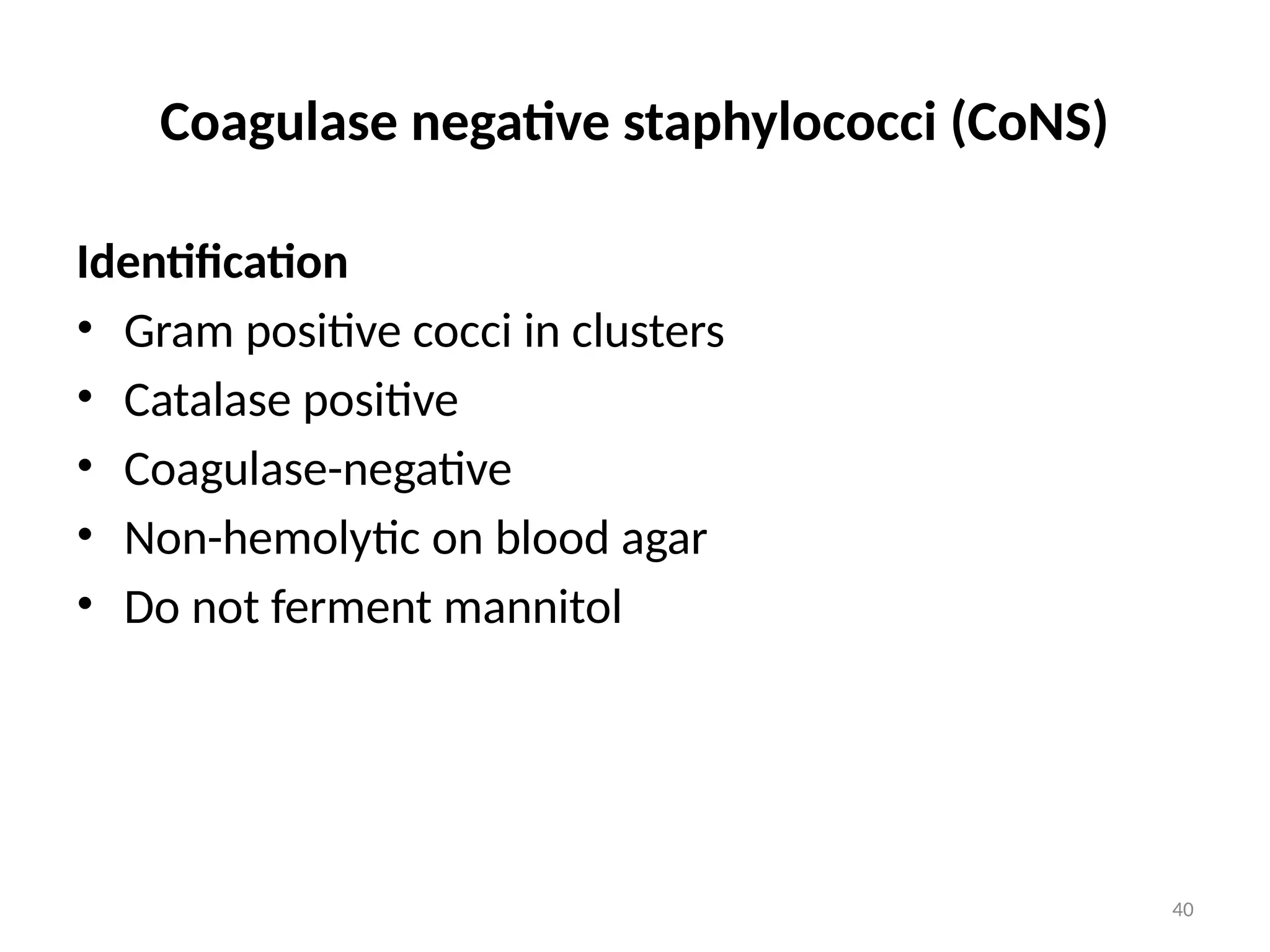 STAPHYLOCOCCI bacteria which is negative and its effect | PPT