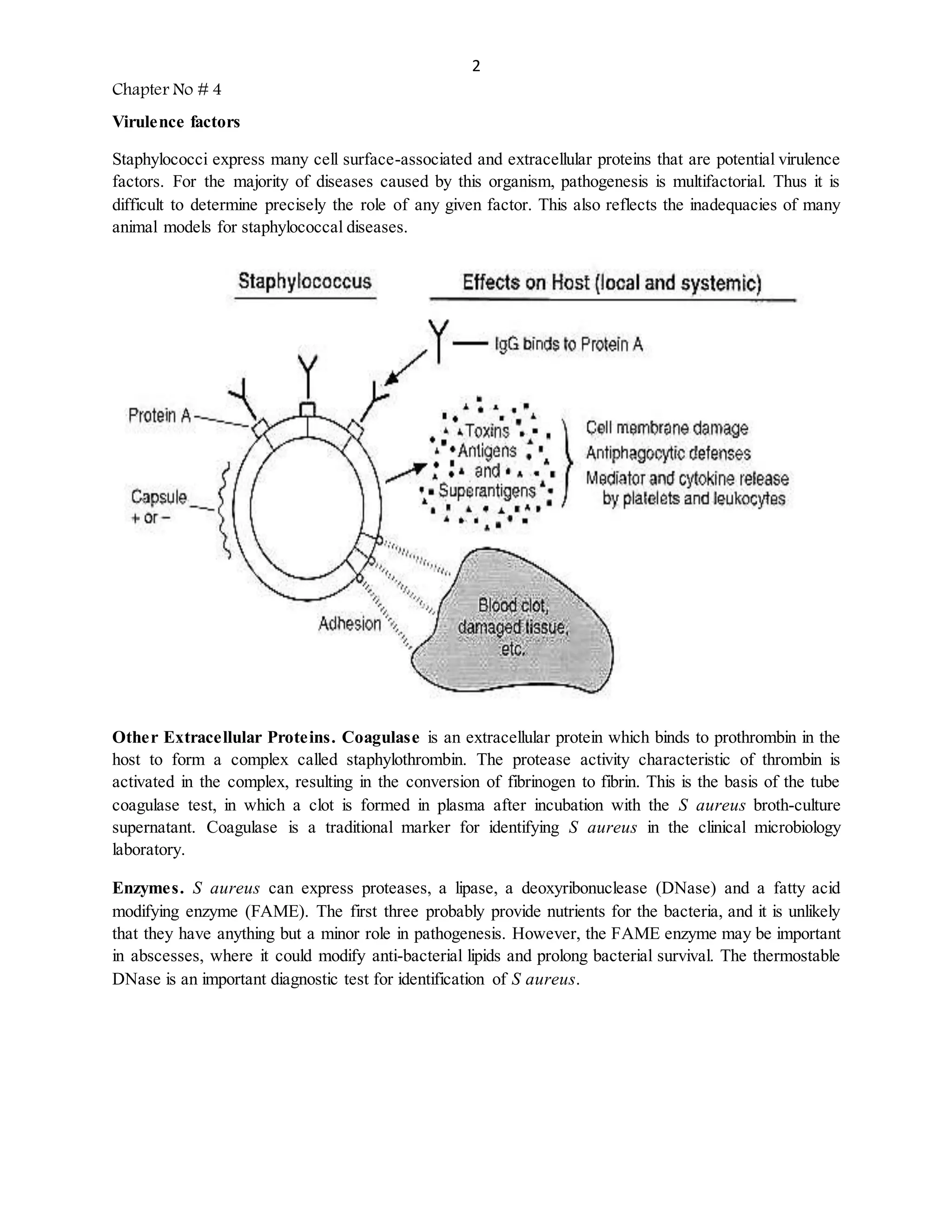 Staphylococci and streptococci | DOCX