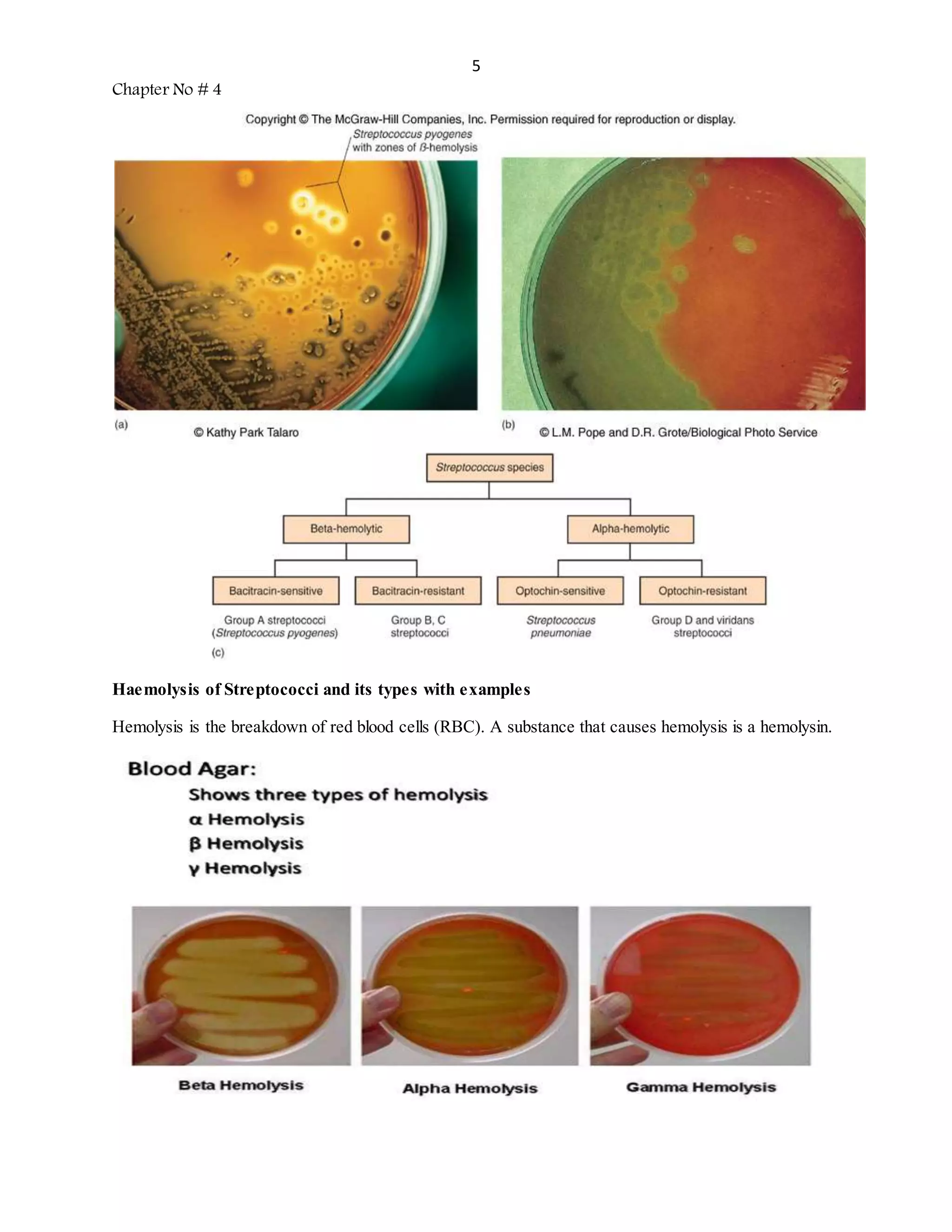 Staphylococci and streptococci | DOCX