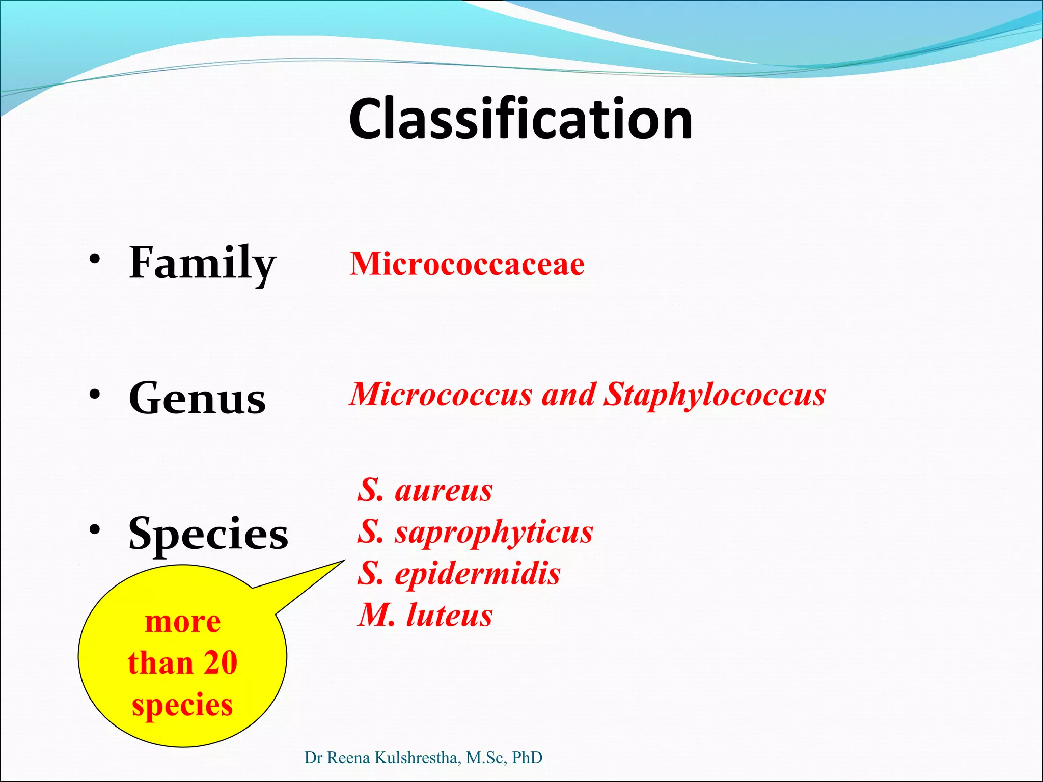 Staphylococci final | PPT