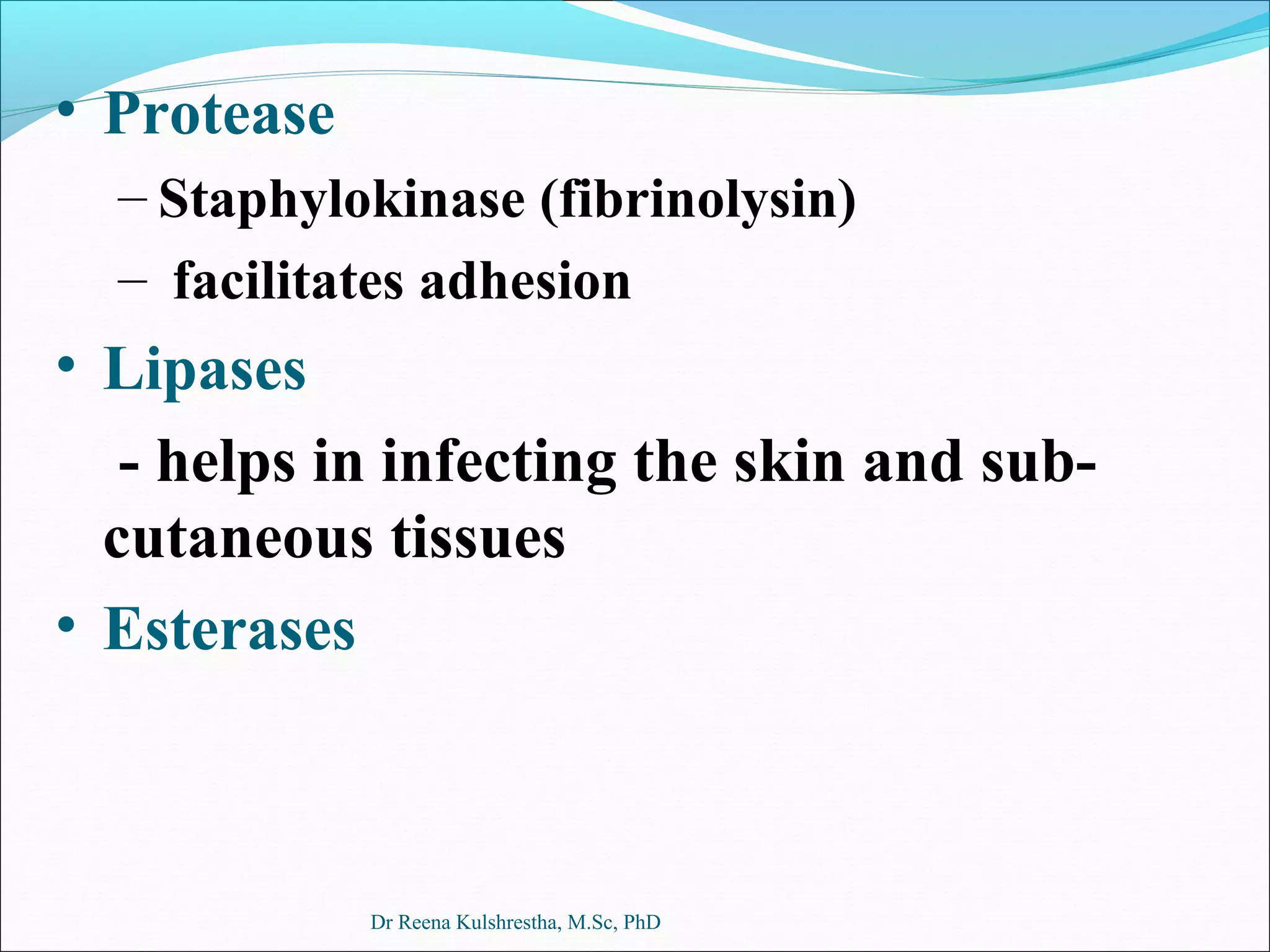 Staphylococci final | PPT
