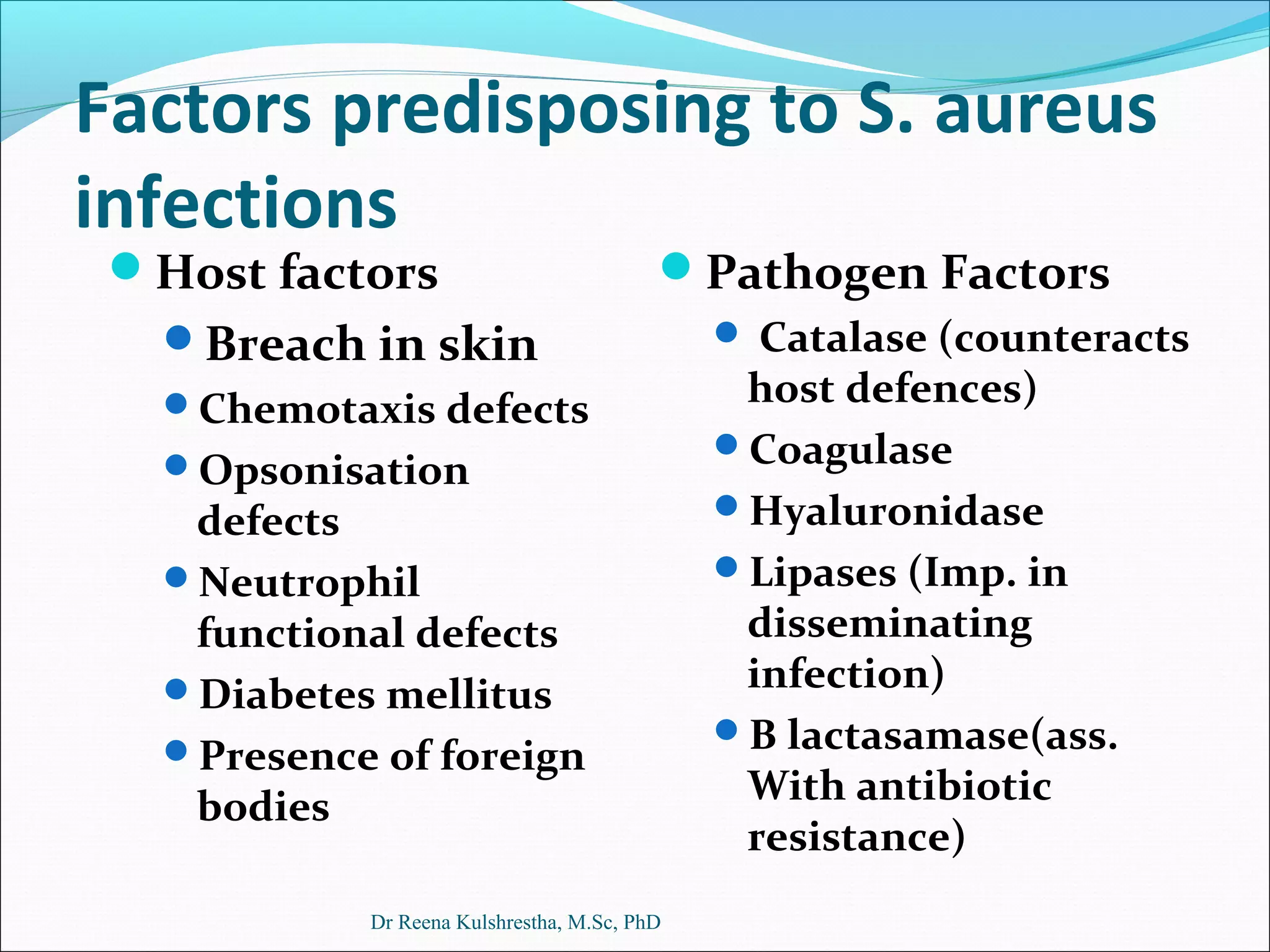 Staphylococci final | PPT