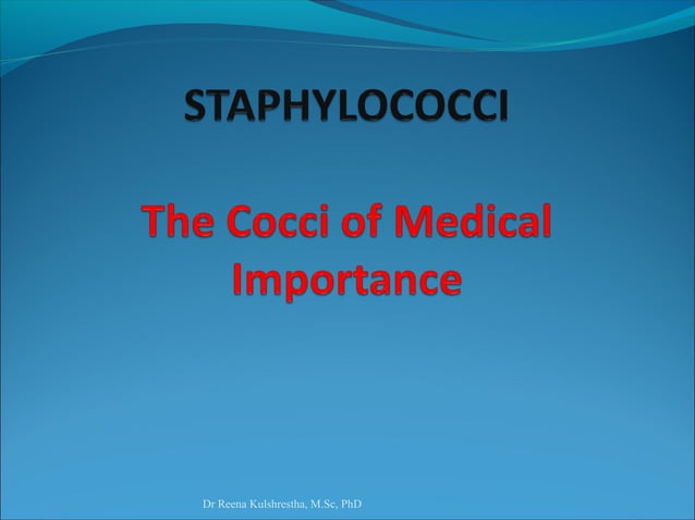 Staphylococci final | PPT | Skin and Dermatology | Diseases and Conditions