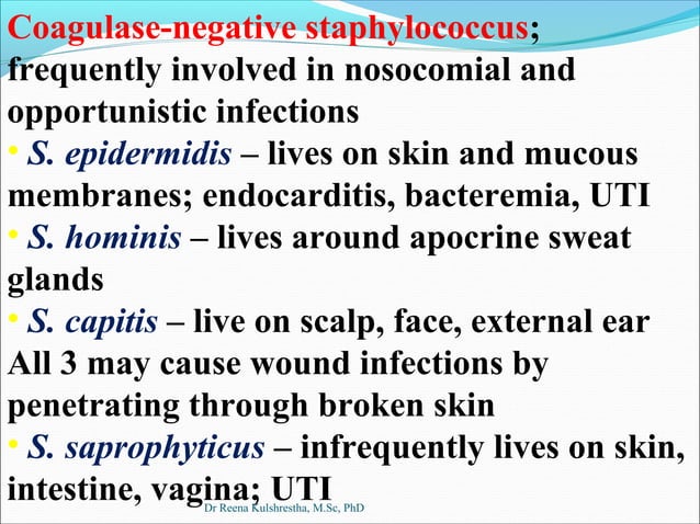 Staphylococci final | PPT | Skin and Dermatology | Diseases and Conditions