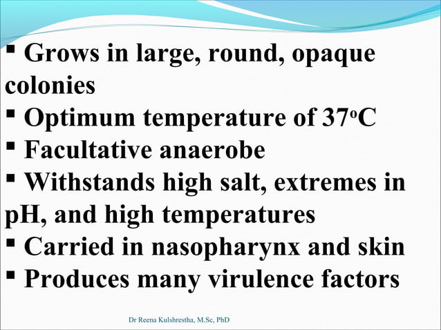 Staphylococci final | PPT | Skin and Dermatology | Diseases and Conditions