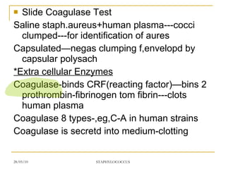 Staphylococcus | PPT