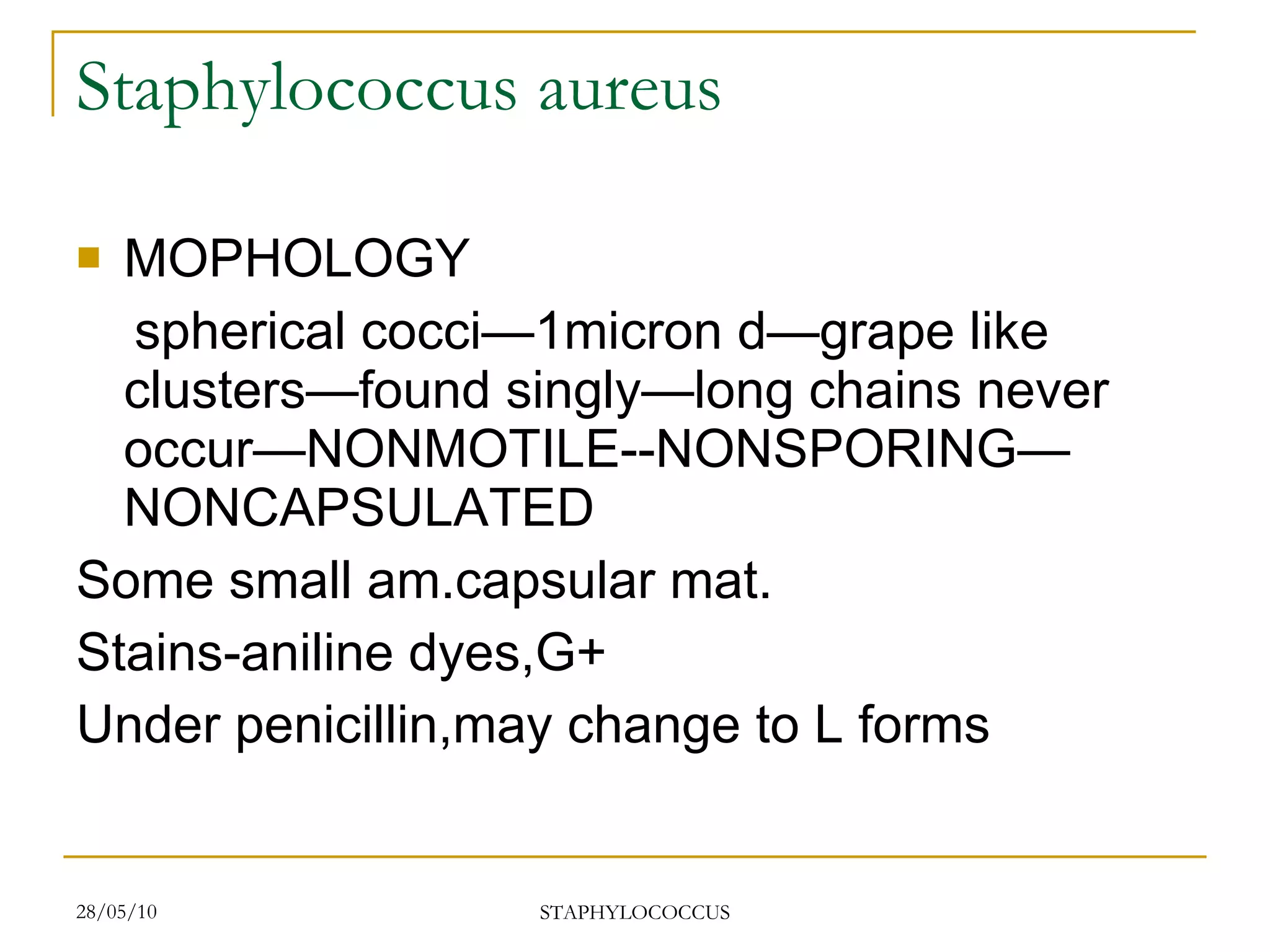 Staphylococcus | PPT