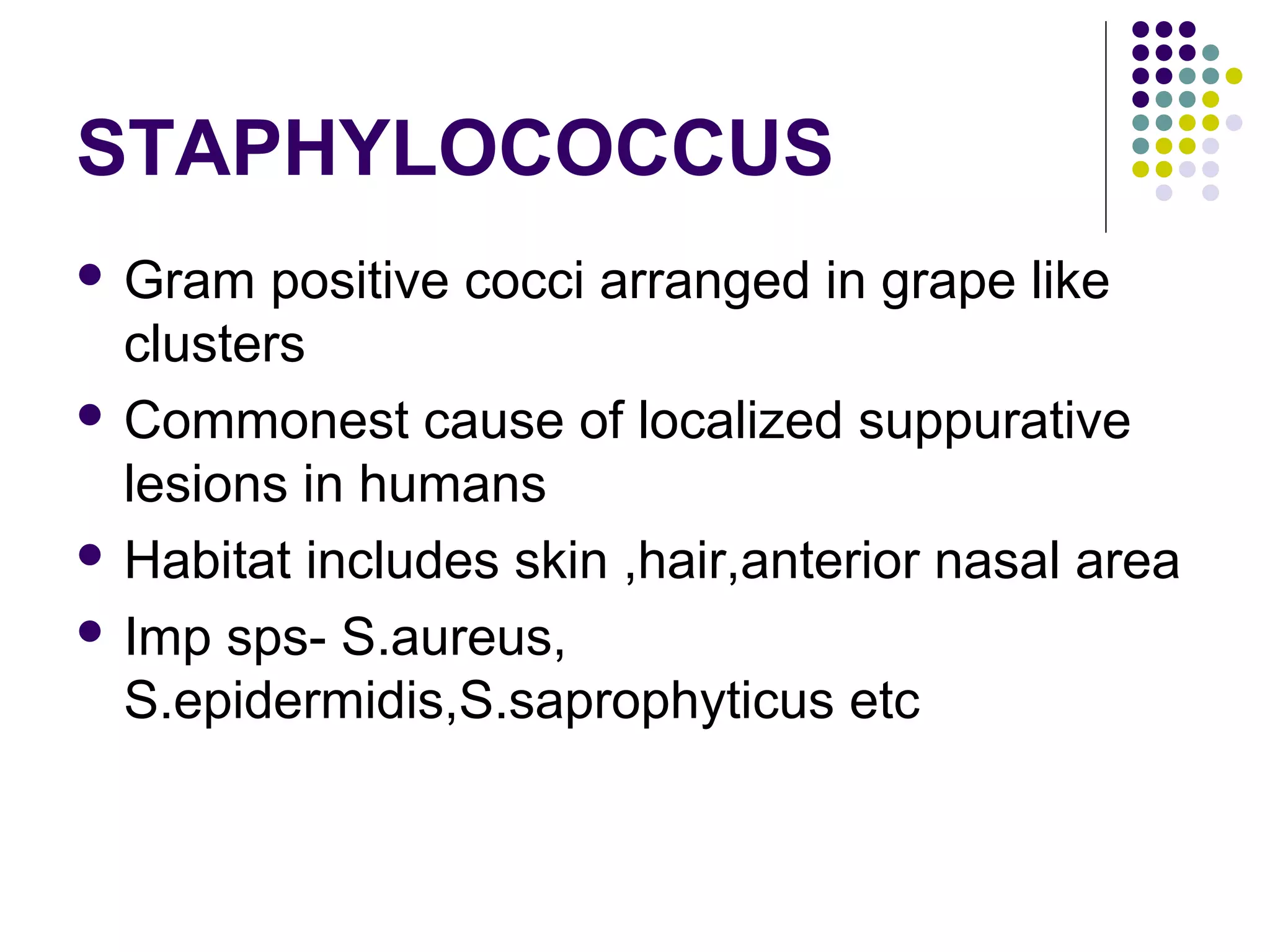 Staphylococcus | PPT