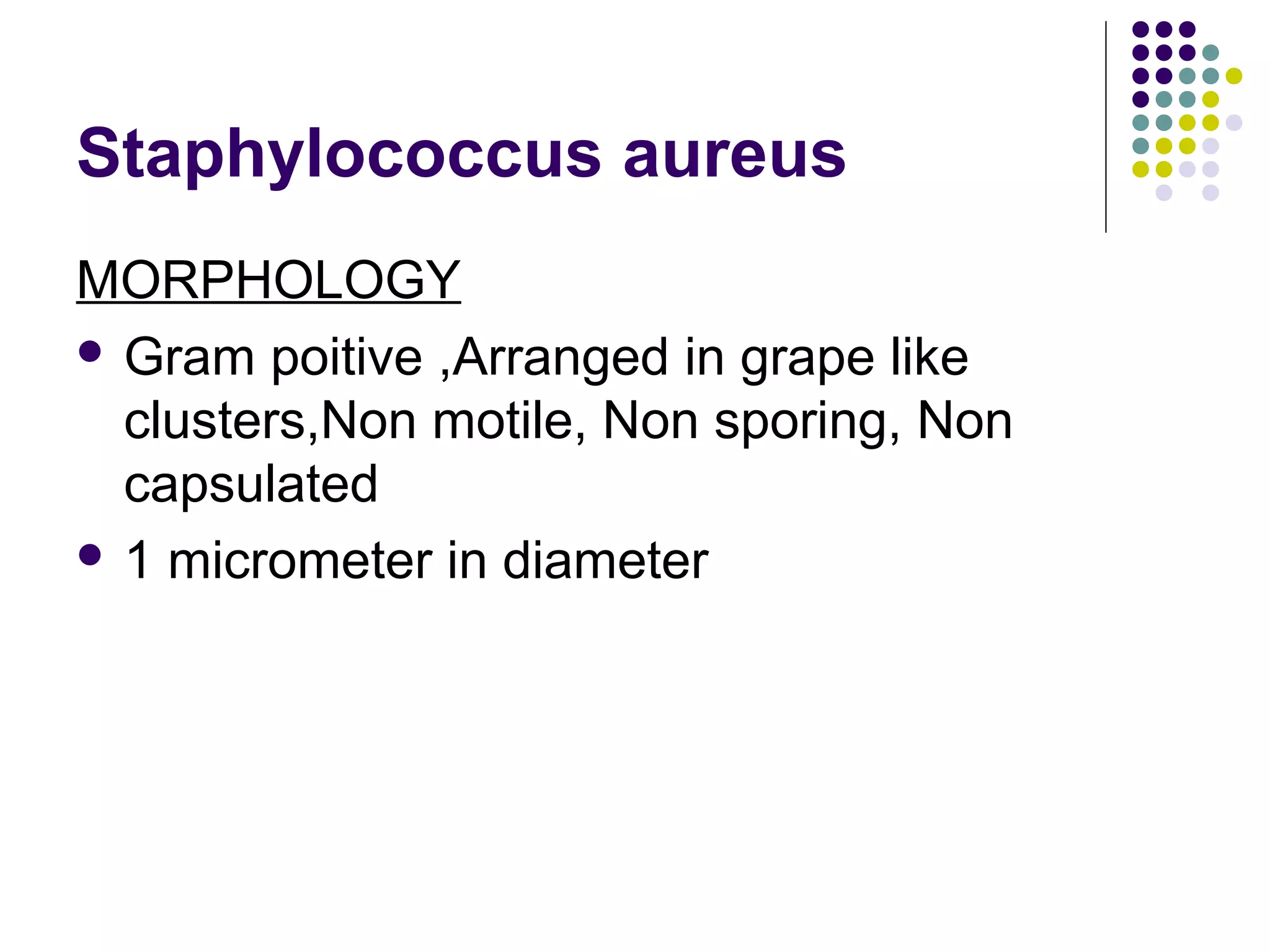 Staphylococcus | PPT