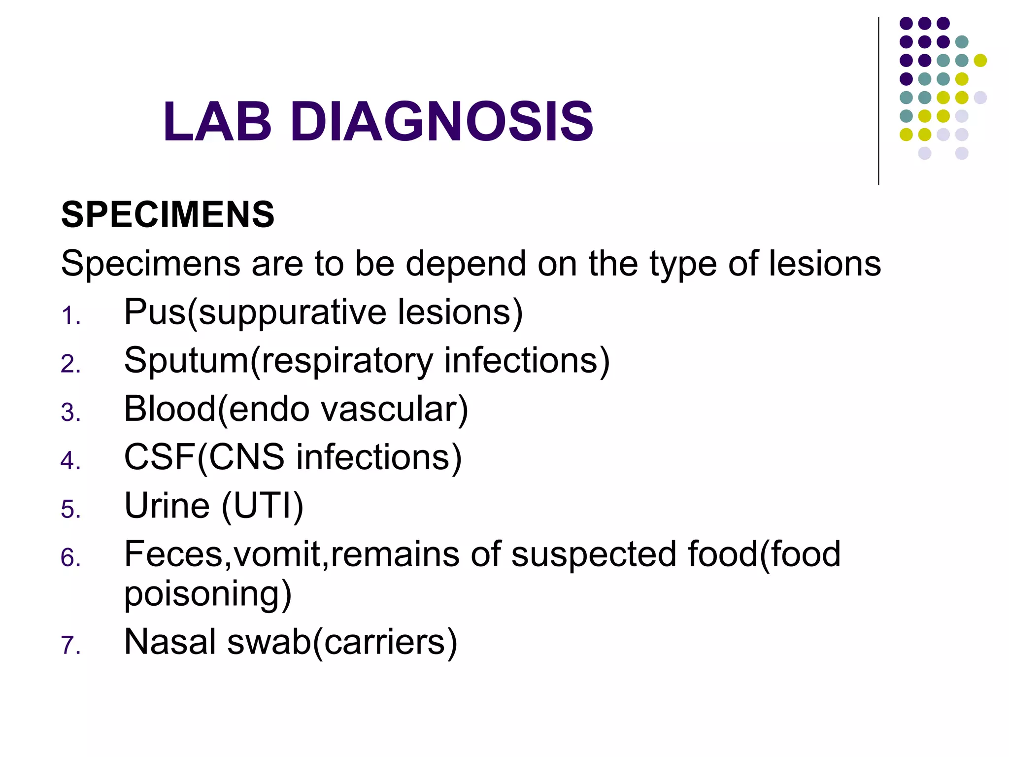 Staphylococcus | PPT