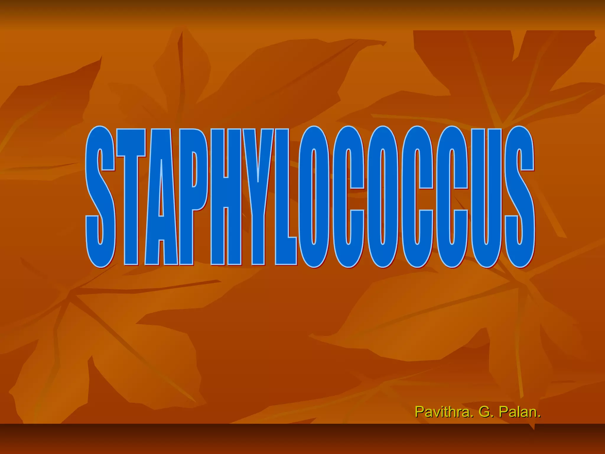 Staphylococcus | PPT