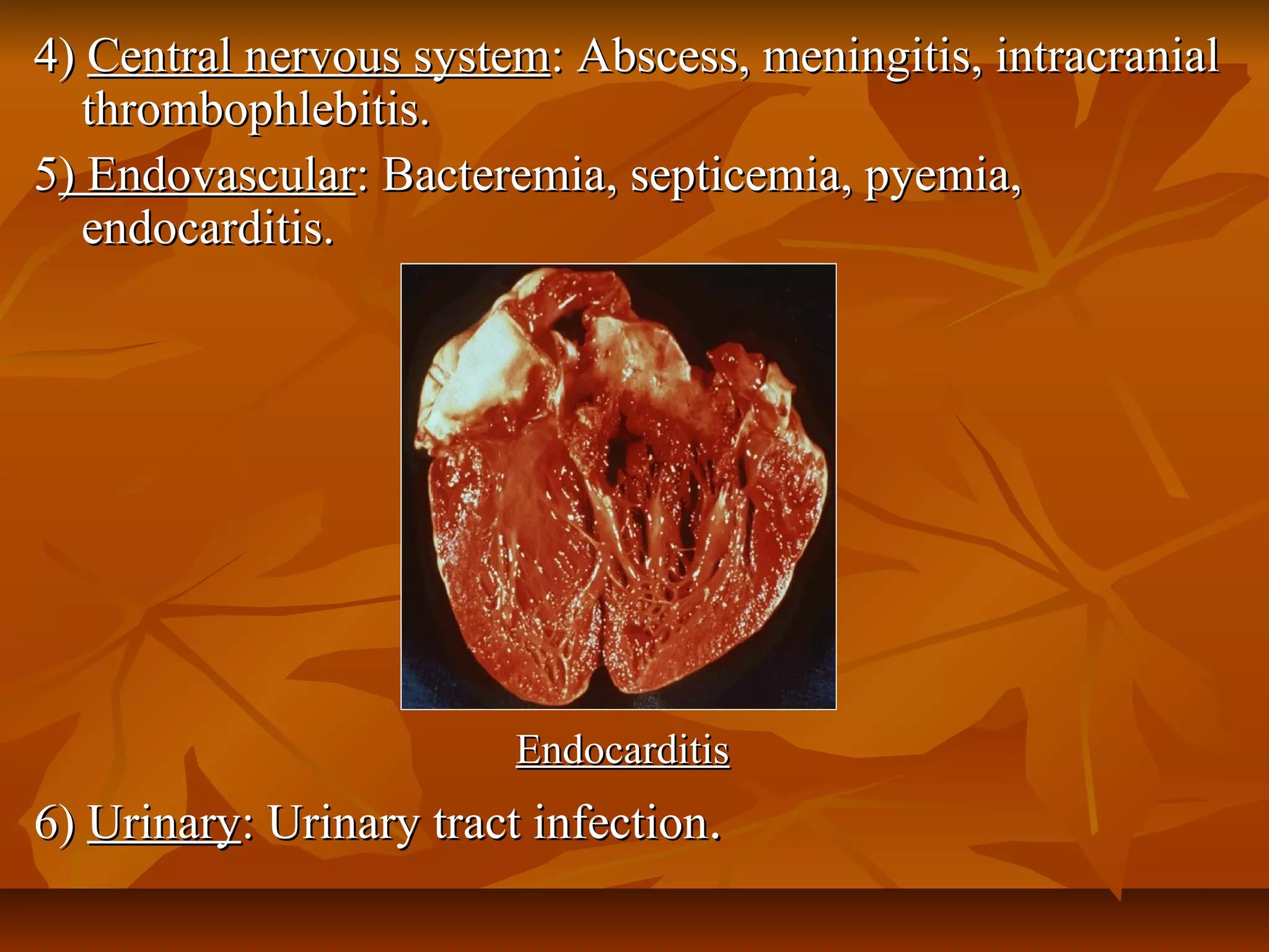 Staphylococcus | PPT