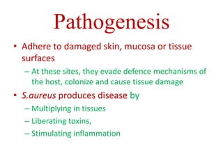 Staphylococcus | PPTX