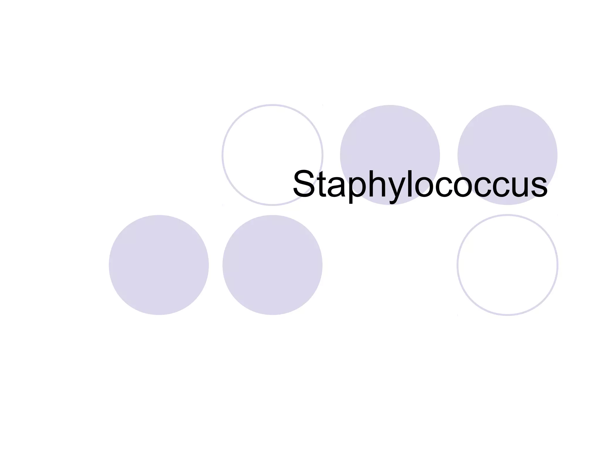 Staphylococcus Ppt