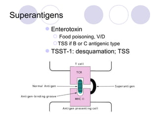 Staphylococcus | PPT