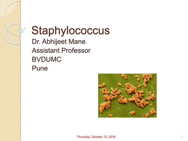 Staphylococcus | PPTX | Chemistry | Science