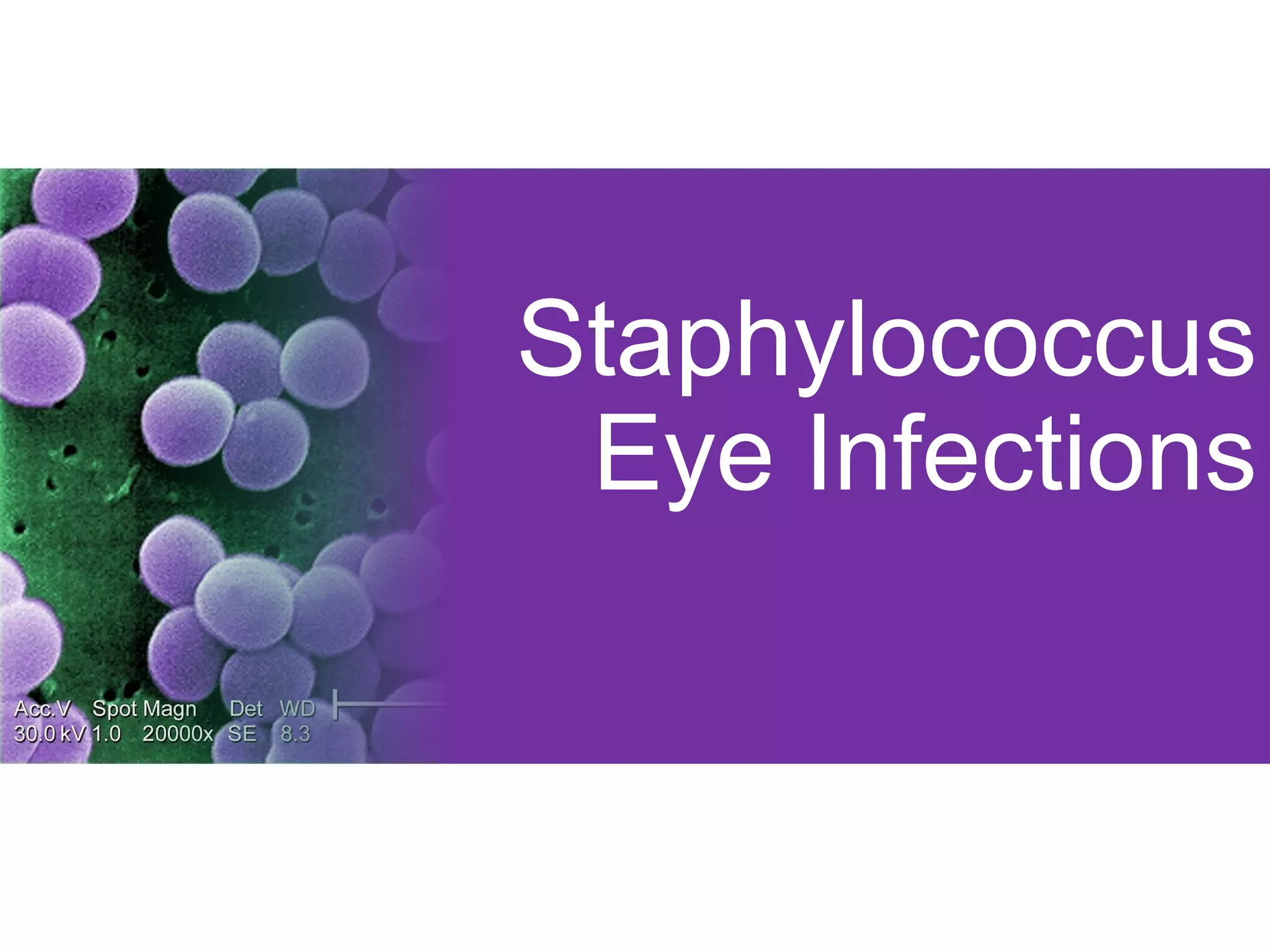 Staphylococcus | PDF