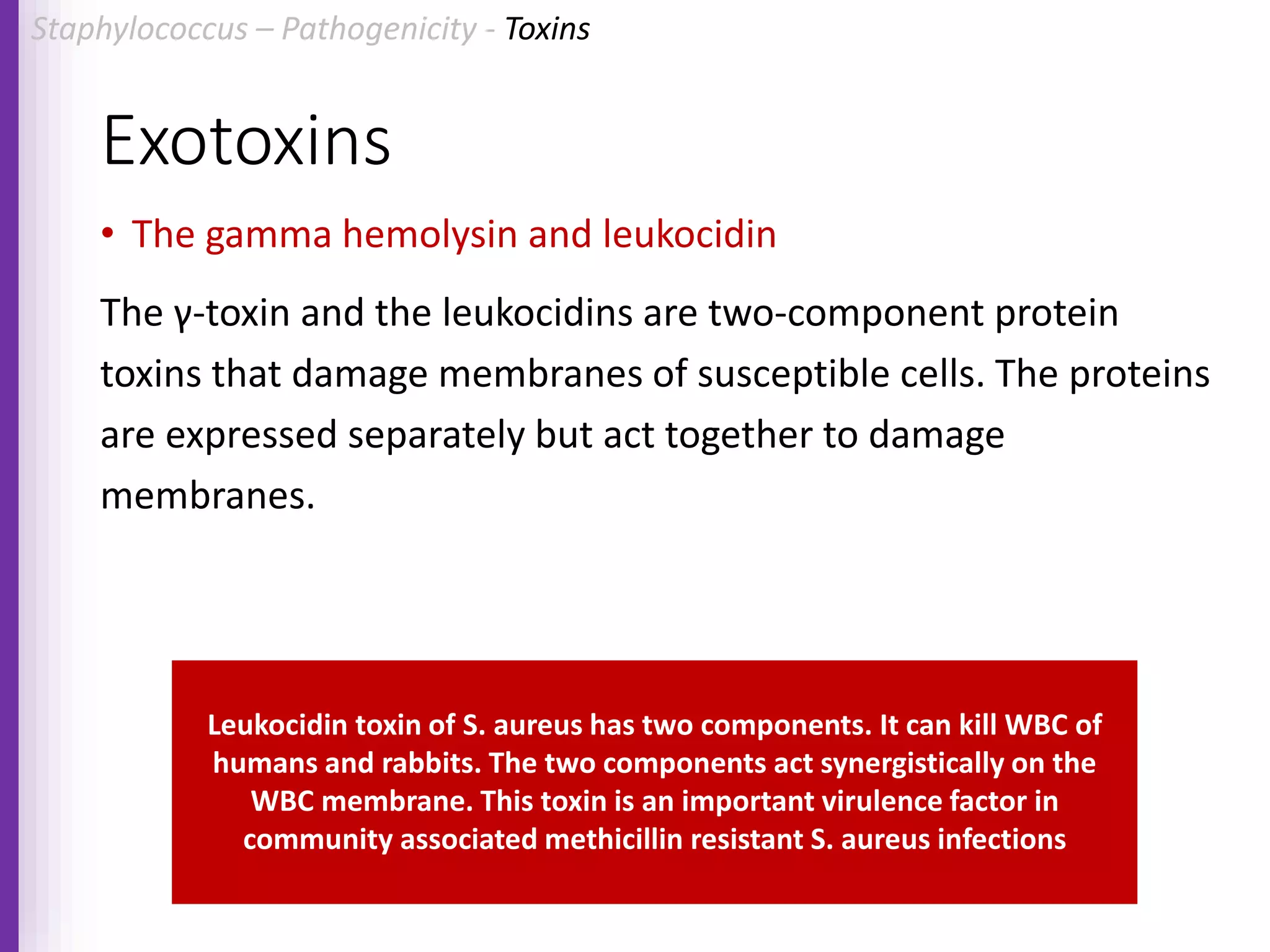 Staphylococcus | PDF