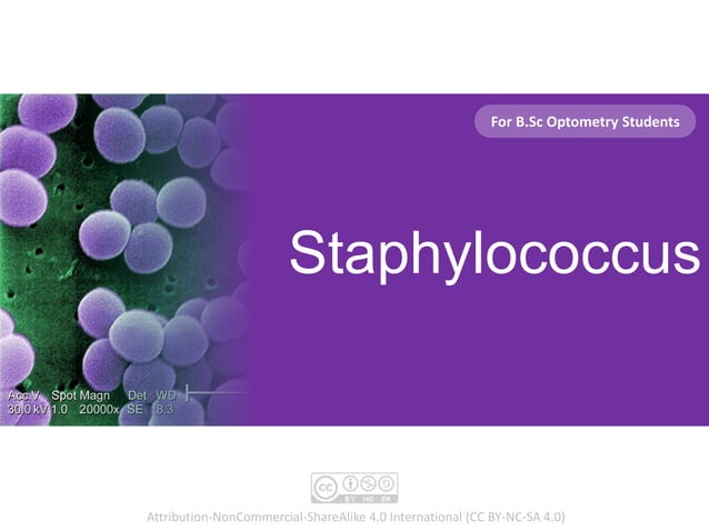 Staphylococcus | PPT