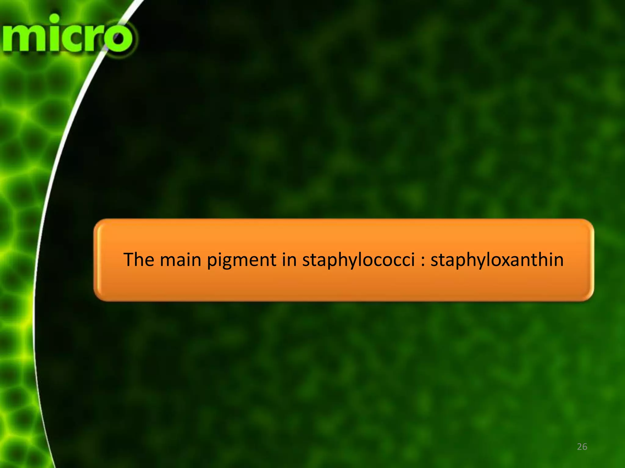 Staphylococcus | PPTX