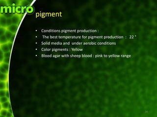 Staphylococcus | PPTX