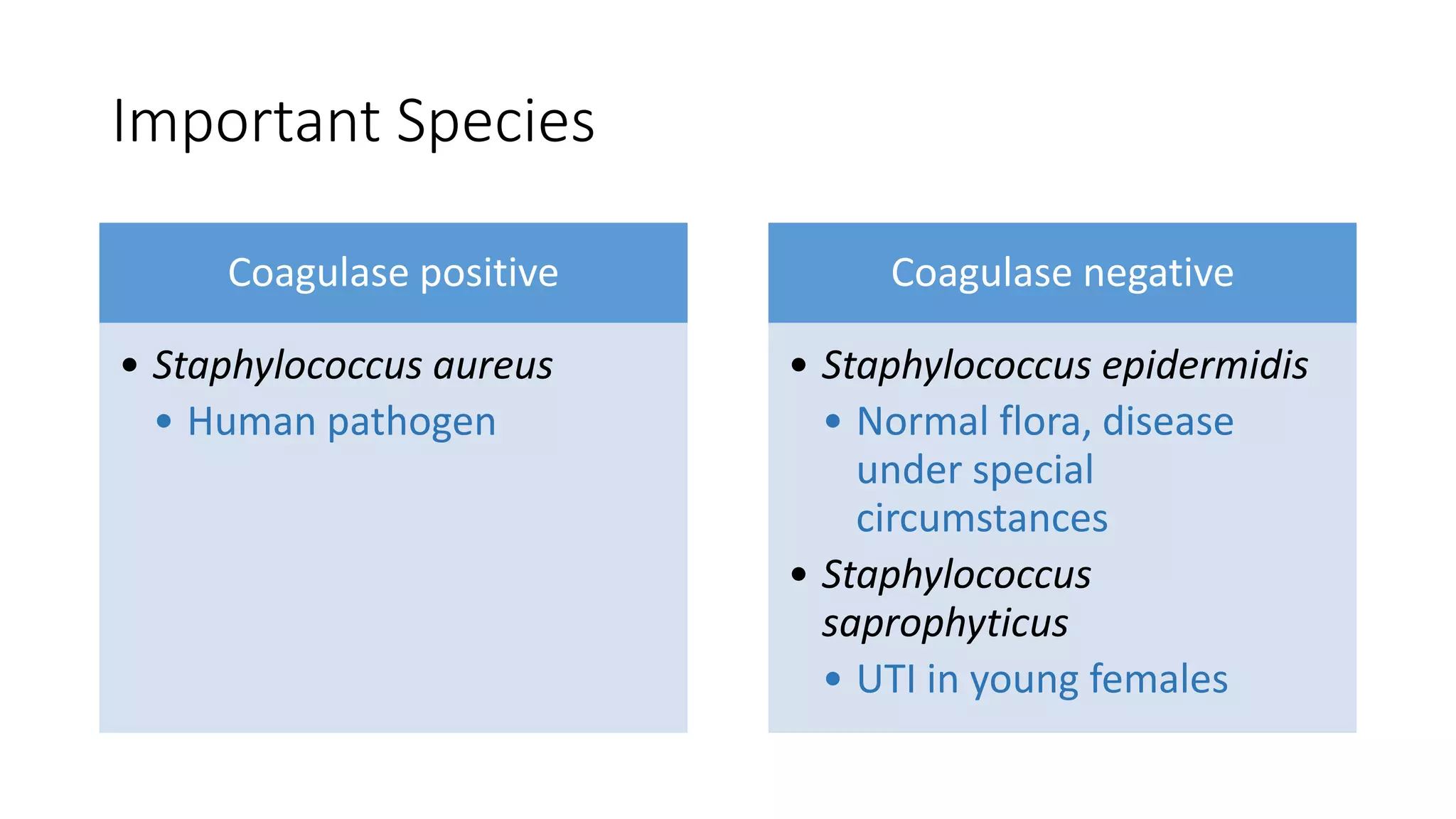 Staphylococcus | PPTX