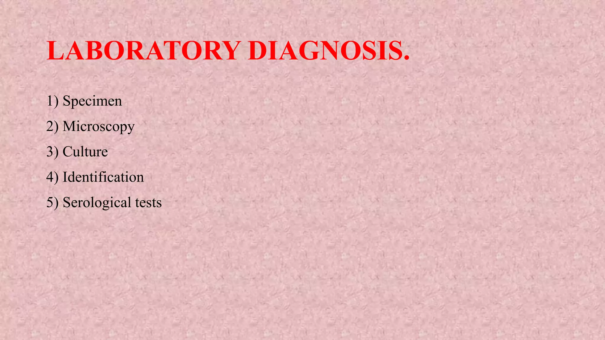 Staphylococcus | PPTX