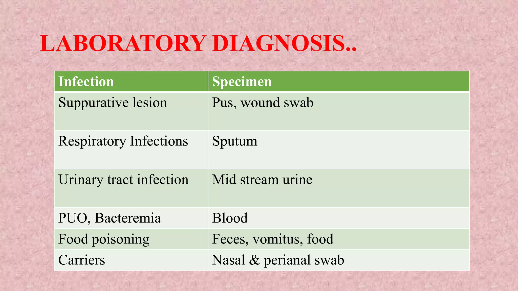 Staphylococcus | PPTX