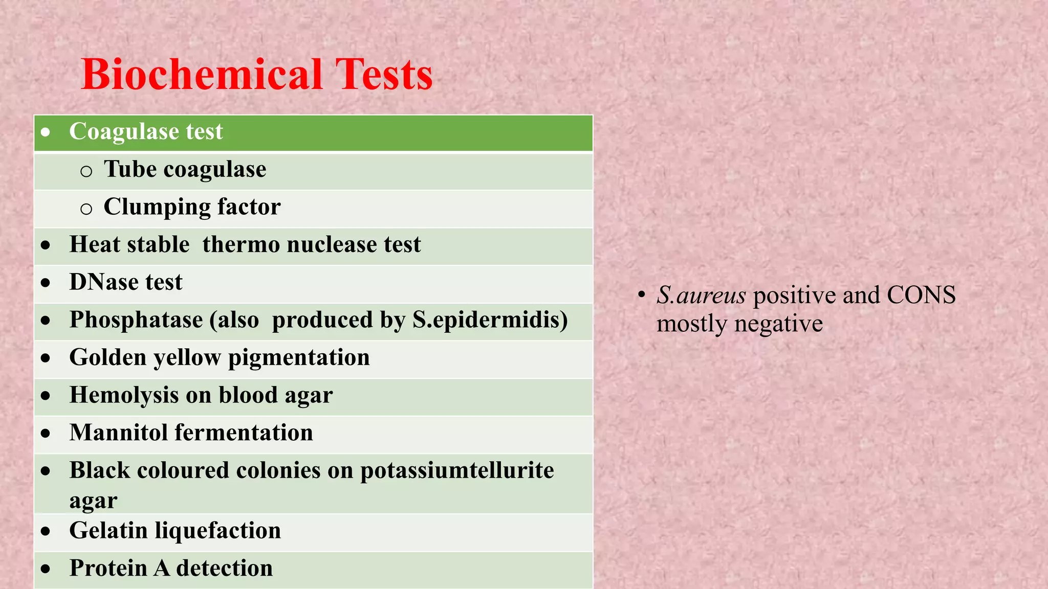 Staphylococcus | PPTX