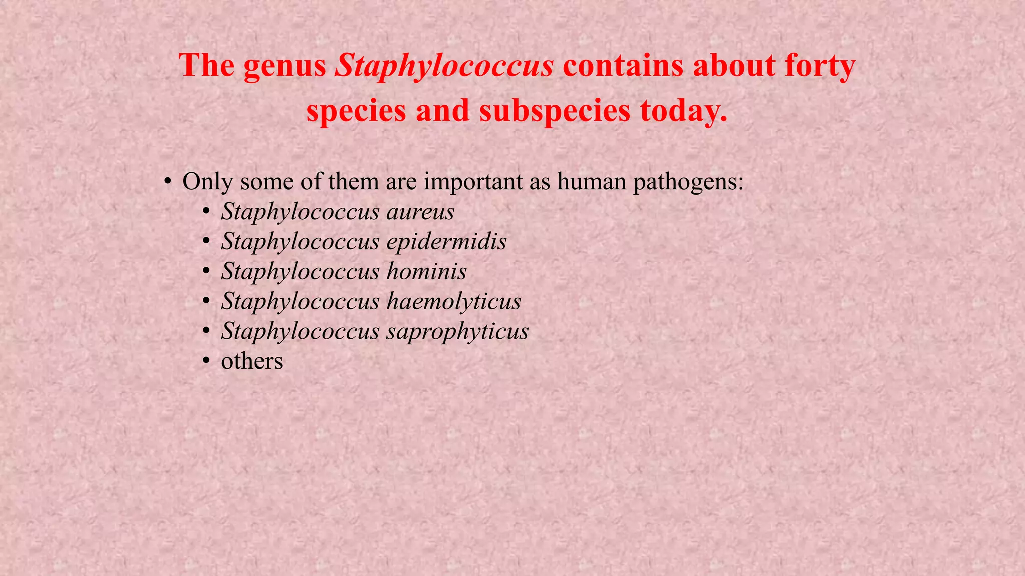 Staphylococcus | PPTX