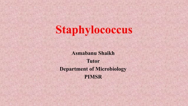 Staphylococcus | PPTX | Blood Disorders | Diseases and Conditions