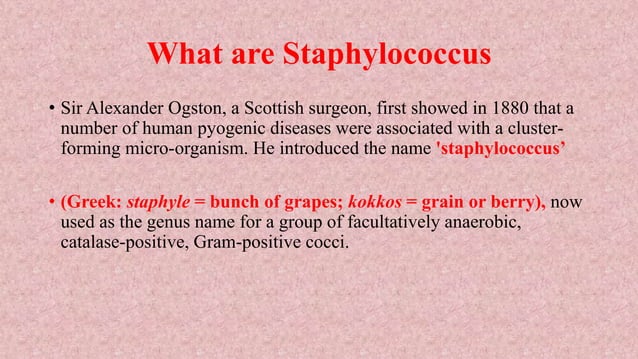 Staphylococcus | PPTX | Blood Disorders | Diseases and Conditions