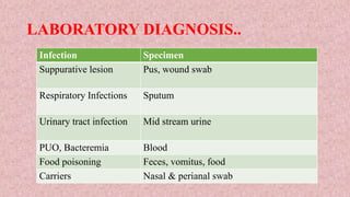 Staphylococcus | PPTX