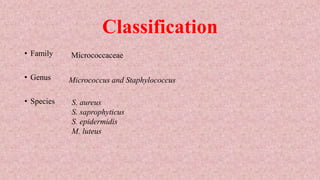 Staphylococcus | PPTX