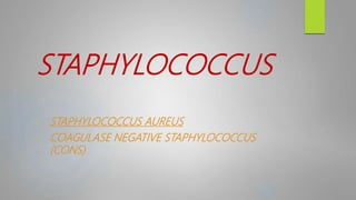 Staphylococcus | PPTX