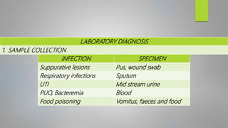 Staphylococcus | PPTX
