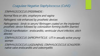 Staphylococcus | PPTX