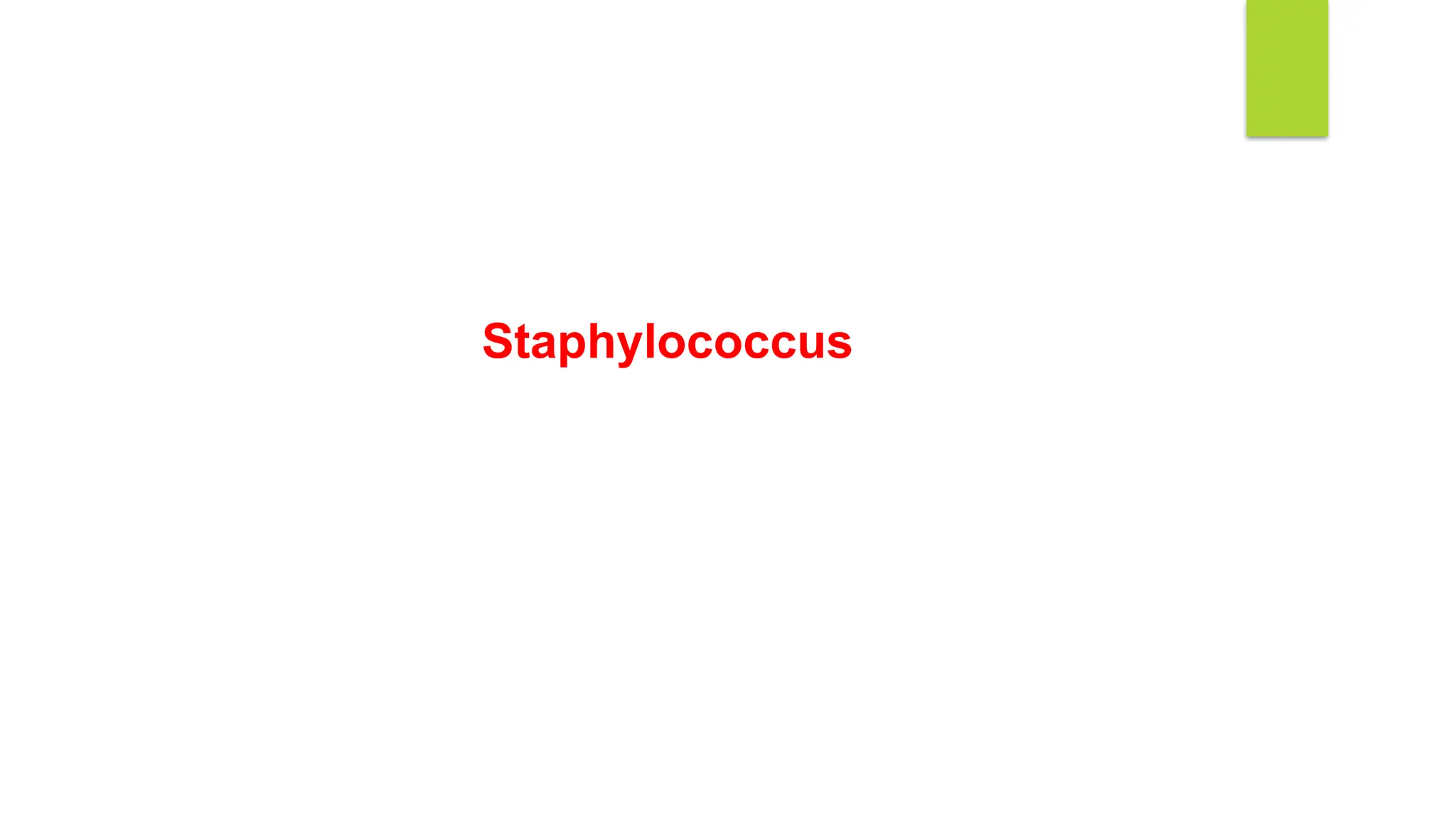 Staphylococcus streptococcus their toxins, diagnosis and treatment | PPTX