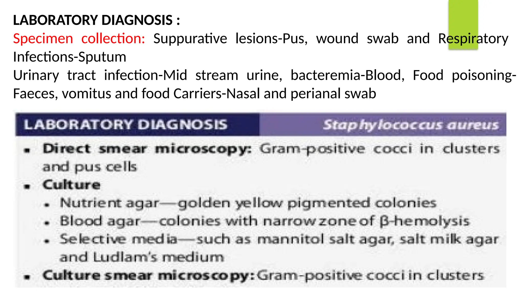 Staphylococcus streptococcus their toxins, diagnosis and treatment | PPTX