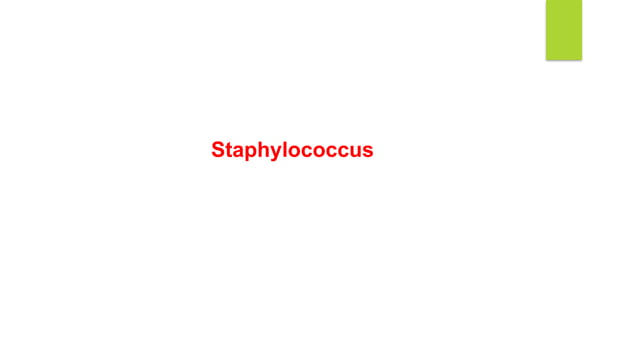 Staphylococcus streptococcus their toxins, diagnosis and treatment | PPTX